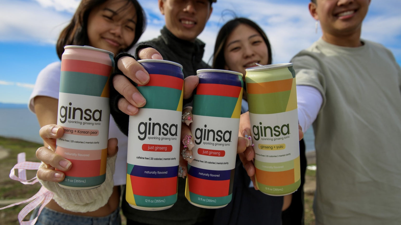 contact us – ginsa